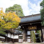 Half-Day Walking Tour: Takayama's Hidden Gems & Temple Walk - Who Will Benefit Most?
