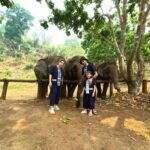 Half-day with CHIANGMAI ELEPHANT CARE program (12pm-6pm.) - What’s Included and What to Keep in Mind