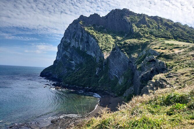 Half or Day Tour For Cruise customers arriving at Jeju City Port - Discovering Jeju: A Tour That Covers the Best in a Short Time