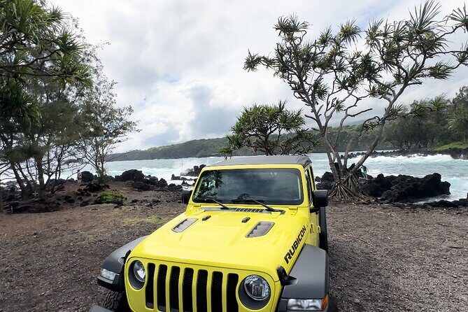 Half way to Hana Maui Open Air Jeep Private Tour - What’s Included and What’s Not