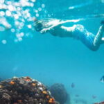 Halfday Snorkeling and Scuba Diving Experience from Nha Trang - What Travelers Can Expect