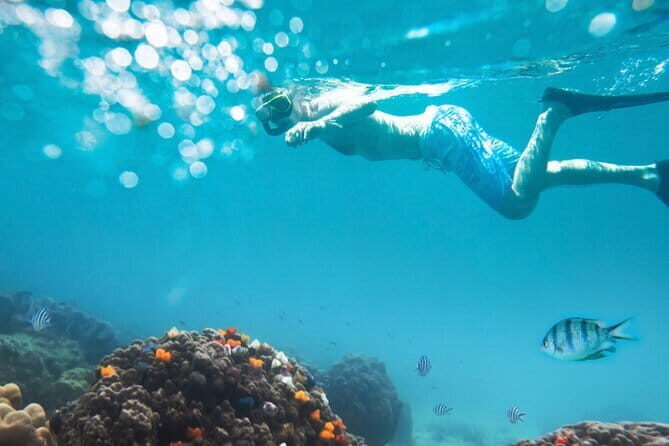 Halfday Snorkeling and Scuba Diving Experience from Nha Trang - What Travelers Can Expect