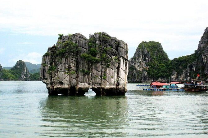 Halong Bay 1 Day - Daily Tour From Hanoi - The Lunch Break and Logistical Details