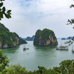 Halong Bay Cruise 2 Days - 1 Night with 5 Star Luxury - What Travelers Say