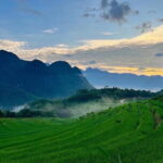 Halong Bay Cruises 2Days/1Night on 5 Star included Pick up - Highlights and Considerations