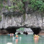 Halong Bay: Day Cruise with Lunch and Kayak from Ninh Binh - Transportation and Logistics