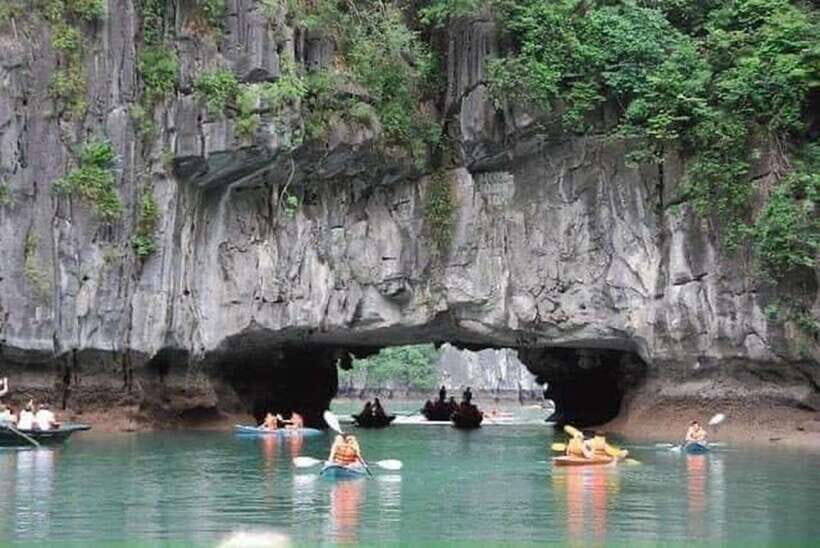 Halong Bay: Day Cruise with Lunch and Kayak from Ninh Binh - Transportation and Logistics