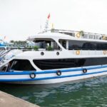 Halong Bay Luxury Day Tour From Hanoi With Limousine Transfer - Exploring the Caves and Islands: Sightseeing & Adventure