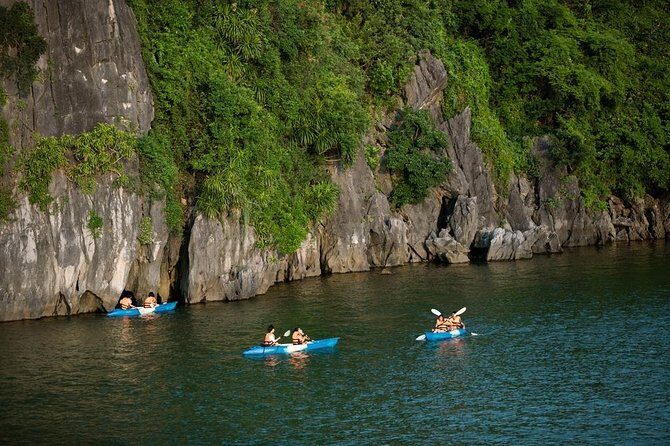 Halong full day standard group tour to Sung Sot Cave and Titop island - Scenic Cruising and Leisure Time: The Cruise Back