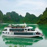 Halong Pamela Cruise Best Luxury Day Tour from Hanoi Expressway - The Experience: What to Expect on the Halong Pamela Cruise