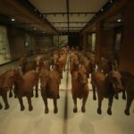 Han Yang Ling Mausoleum & Yuanjiacun Village One Day Private Tour with Lunch - Yuanjiacun Village: Experience Rural Shaanxi