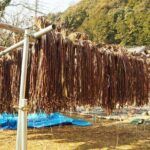 Handmade Japanese Paper Experience in Yoshino (Nara) - What You Can Expect During the Process