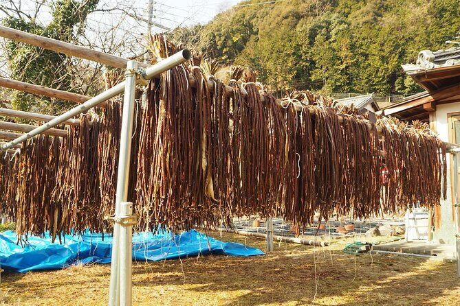 Handmade Japanese Paper Experience in Yoshino (Nara) - What You Can Expect During the Process