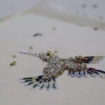 Hands-on Embroidery Workshop - Who Will Love This Experience?