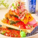 Haneda Layover tour of 6hours with local Japanese guide by train - Inclusivity and Practical Details