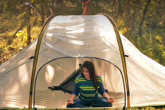 Hang in Nature in India - What Travelers Say: Authentic Feedback