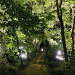 Hangzhou : Cool Morning/Night Baoshi Mountain Guided Tour - Is It Worth the Price?