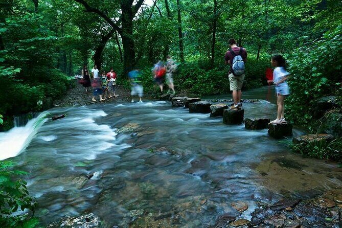 Hangzhou Jiuxi and Tea Village Hiking Trip from Shanghai By Train - What Makes This Tour Stand Out?