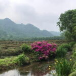 Hangzhou Private 2-Day Tour from Shanghai with Lingyin Temple - Day 1: Unveiling Ancient Cultures and Natural Beauty