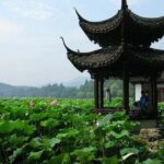 Hangzhou Private Day Tour from Nanjing by Bullet Train with Drop-off Option - The Green Tea Experience at Longjing Fields