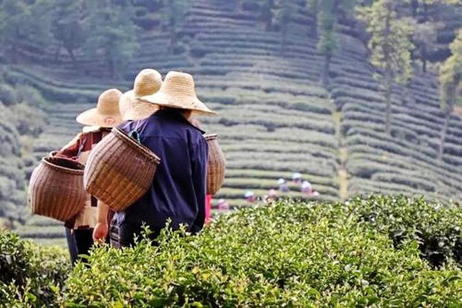 Hangzhou Private Flexible Day Tour with West Lake Boat Cruise - Analyzing the Value