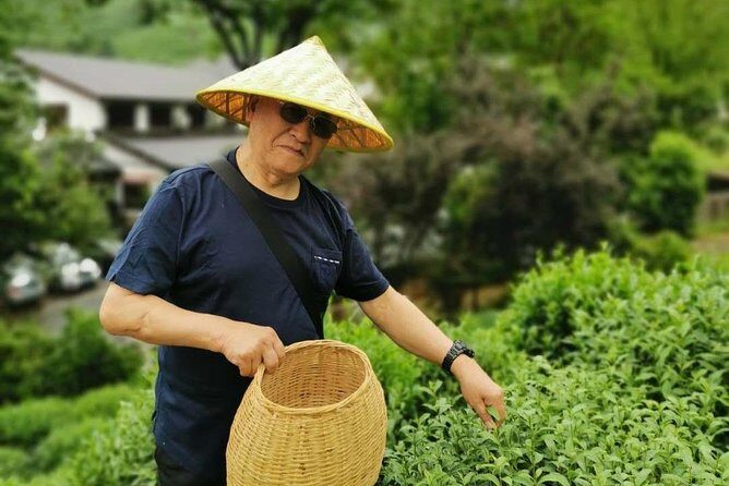 Hangzhou West Lake and Tea Plantation Half Day Tour - The Longjing Tea Fields: An Authentic Sip of Hangzhou
