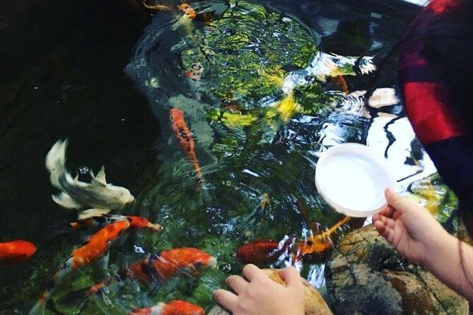 Hani Health Spa - Vietnamese Relaxing Massage 60 minutes - Why This Spa is Worth It