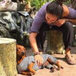 Hanoi: 2 Days 1 Night Adventure Cat Ba National Park, Lan Ha Bay - Detailed Breakdown of the Itinerary