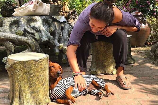 Hanoi: 2 Days 1 Night Adventure Cat Ba National Park, Lan Ha Bay - Detailed Breakdown of the Itinerary