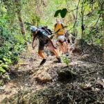 Hanoi-Cat Ba Isand 2-Day Trip with Trekking, Night Kayak,Transfer - Practical Details for Your Trip