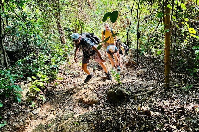 Hanoi-Cat Ba Isand 2-Day Trip with Trekking, Night Kayak,Transfer - Practical Details for Your Trip