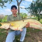 Hanoi: Catfish Luring Experience with Round-Trip Transfer - The Practical Details
