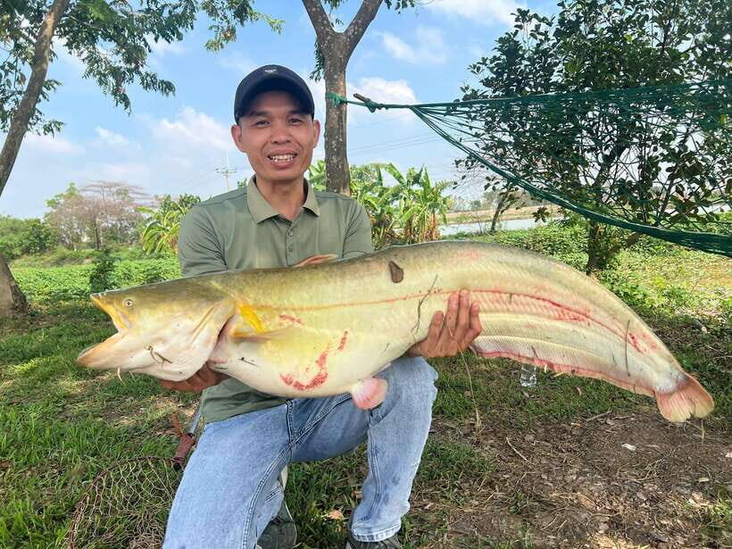 Hanoi: Catfish Luring Experience with Round-Trip Transfer - The Practical Details
