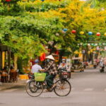 Hanoi City Half Day - The City Contains Cultural Beauty - What Makes This Tour Stand Out?
