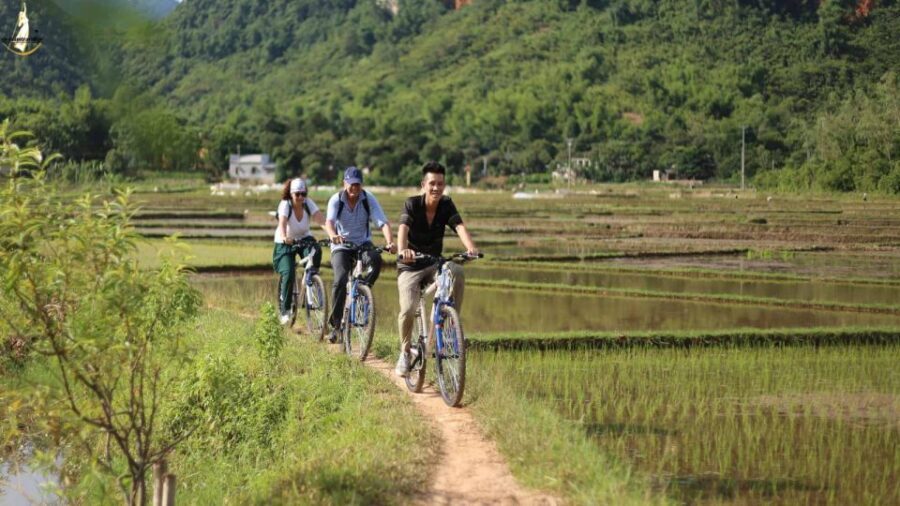 Hanoi: Cycling Tour of Hoa Lu, Trang An with Meals and Guide - Lunch with Local Flavors