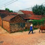 Hanoi: Duong Lam Historical Village Private Day Tour - The Value Proposition