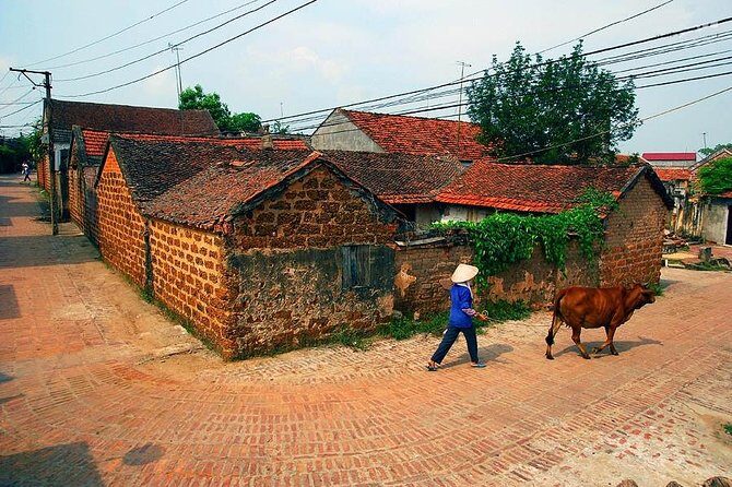 Hanoi: Duong Lam Historical Village Private Day Tour - The Value Proposition