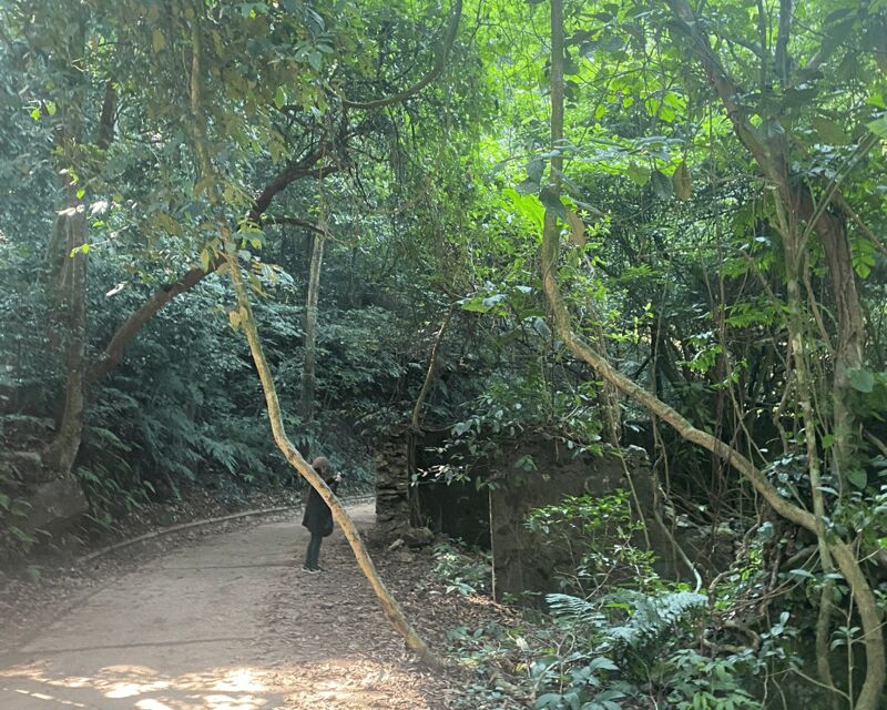 Hanoi Eco Tour: Ba Vi National Park Wonders & Tea Plantation - Savoring a View and a Sacred Temple in the Clouds