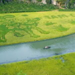 Hanoi: Explore Ninh Binh by Jeep Adventure, Boat Trip, Daily Life - The Itinerary in Detail