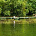 Hanoi: Full-day Exploring Hoa Lu And Trang An Grottoes - Journey Through Vietnam’s Heartland: A Detailed Breakdown