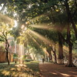 Hanoi Guided Sightseeing Tour by Sport Motorbike - Key Points