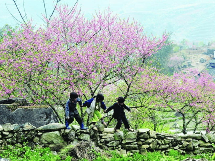 Hanoi: Ha Giang Loop Tour 3 Days 2 Nights with easy rider - A Detailed Breakdown of the 3-Day Ha Giang Loop Experience