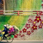 Hanoi Hidden Gems: Private Walking Tour, Train Street,Local Guide - Final Thoughts