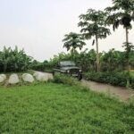 Hanoi Jeep Tours Led By Women: Hanoi Countryside By Legend Jeep - The Sum Up