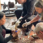 Hanoi Knife-Making Class:Join the Legacy in Blacksmith's Workshop - The Itinerary — From Sketch to Sharp