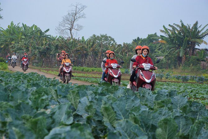 Hanoi Motorbike Tours Led By Women: Hanoi Countryside Motorbike Tours - Exploring the Co Loa Citadel and Rice Paddies