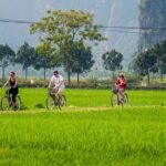 Hanoi: Ninh Binh Tour and Ha Long Bay Cruise 3-Day Trip - The Value of the Tour