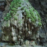 Hanoi: Perfume Pagoda Day Trip with Boat Ride & Lunch - Evaluating the Value: Is It Worth It?