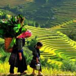 Hanoi-Sapa Trek 2 days 2 nights in Hotel with small group - What the Tour Includes and What to Consider