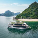 Hanoi to Halong Bay: Luxury Hercules Cruise with Buffet Lunch - A Detailed Look at the Journey